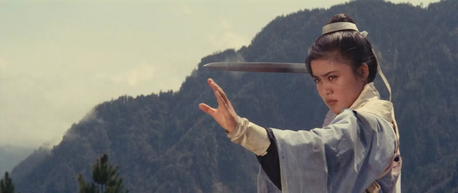 Crouching Tiger, Gizli Ejderha Gibi Görülmesi Gereken 9 Film - Cinemaholic 11687_9