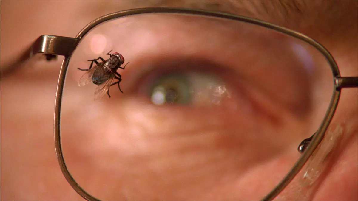 Αποτέλεσμα εικόνας για το επεισόδιο μύγας σπάζοντας κακό