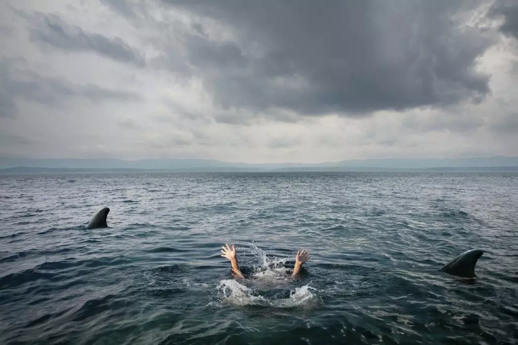 Las mejores películas de tiburones | Las mejores películas sobre ataques de tiburones (2020, 2019) 13184_11