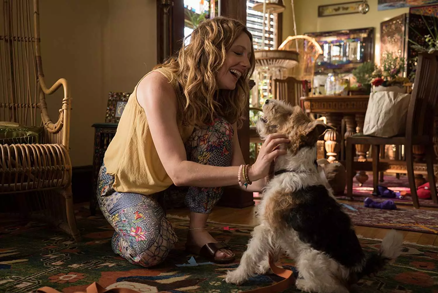 Filmat / shfaqjet televizive të ardhshme të Judy Greer (2019, 2020) 2581_3