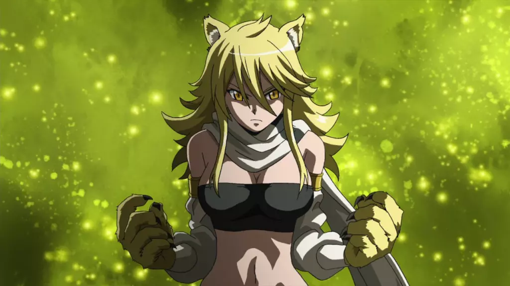 Anime Like Fairy Tail | 20 kötelező anime, hasonló a Fairy Tailhez 307_4