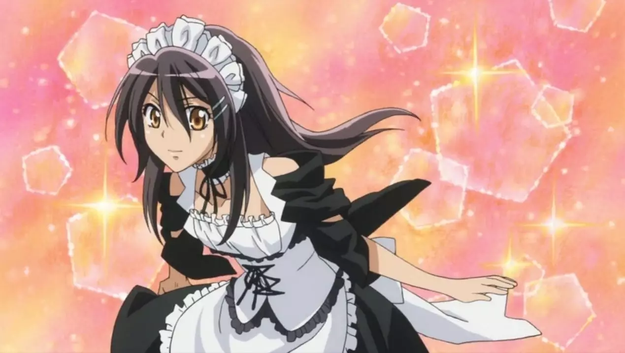 Sexy Anime Maid | 12 Tama'ita'i Anime Sili ona Manaia - Cinemaholic 3537_12