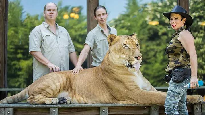 Doc Antle Now: Onde está o proprietário do Myrtle Beach Safari hoje? Atualização do Rei Tigre 38244_1