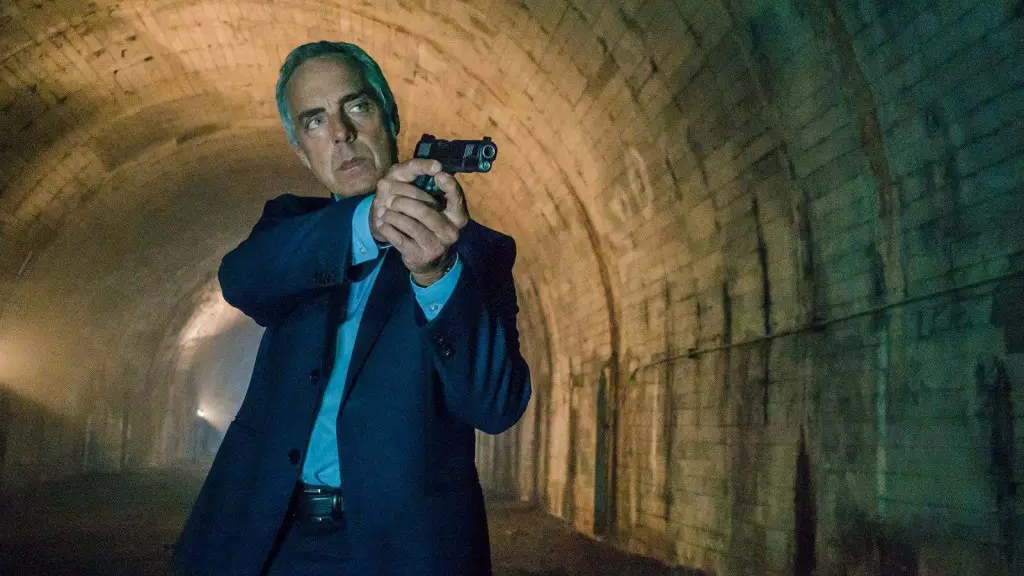 programas como Bosch | 12 series de TV similares que debes ver - Cinemaholic